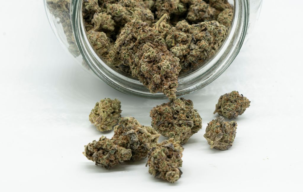 THCa Flower in Herbal Medicine - Theo Lawrence Books